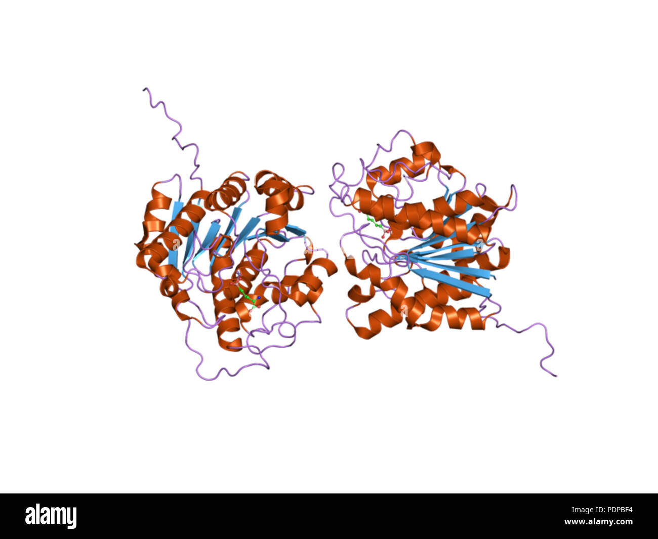 Model 275 Cut Out Stock Images & Pictures - Alamy