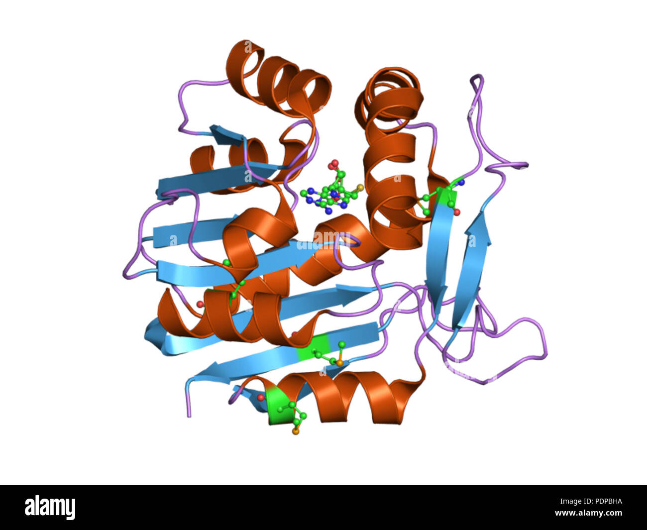 275 PDB 3e8s EBI Stock Photo - Alamy