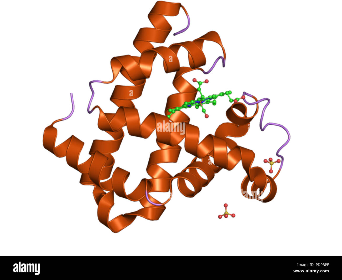 Fatty acid chains hi-res stock photography and images - Alamy