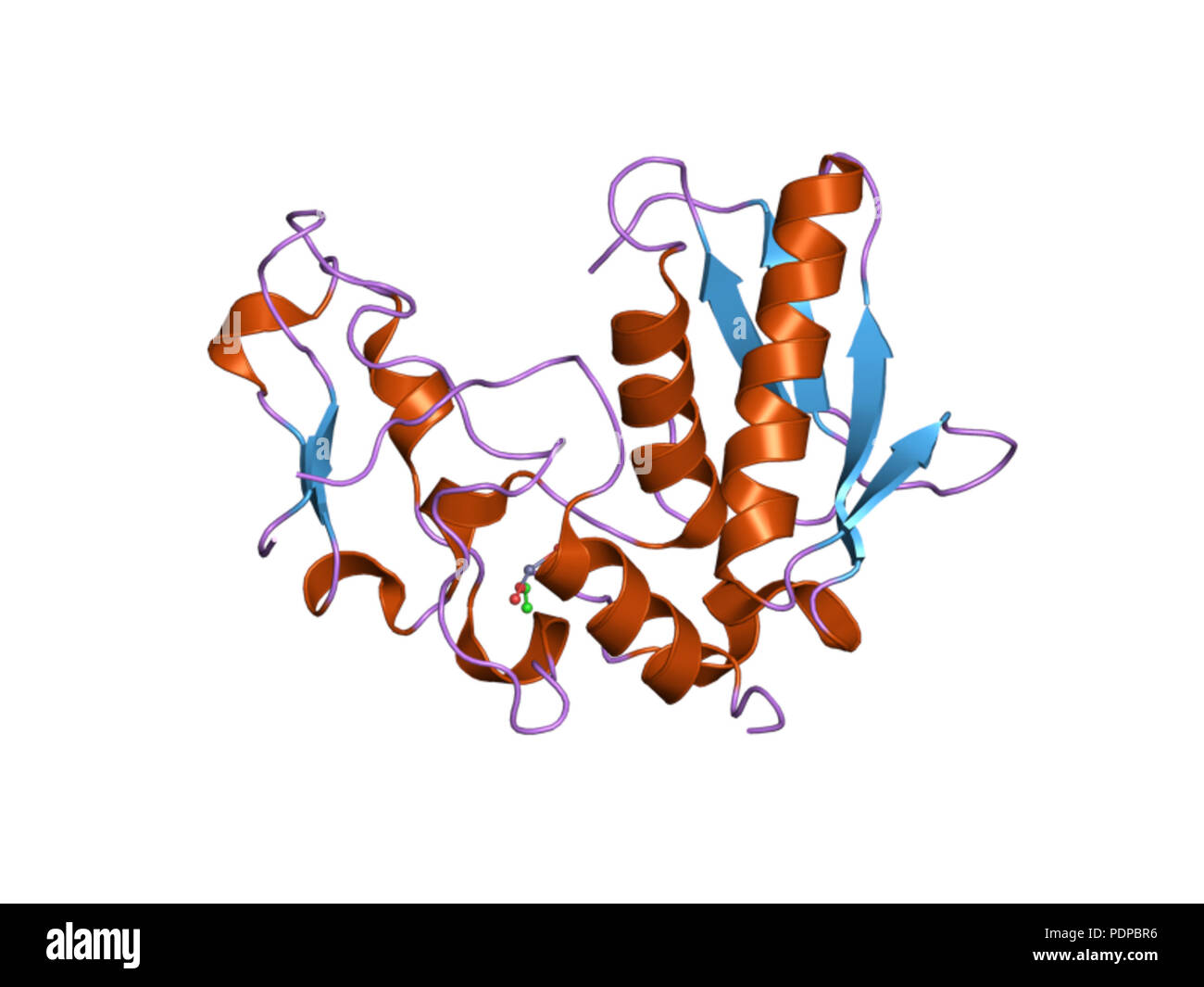 Complex cellular structures hi-res stock photography and images - Alamy