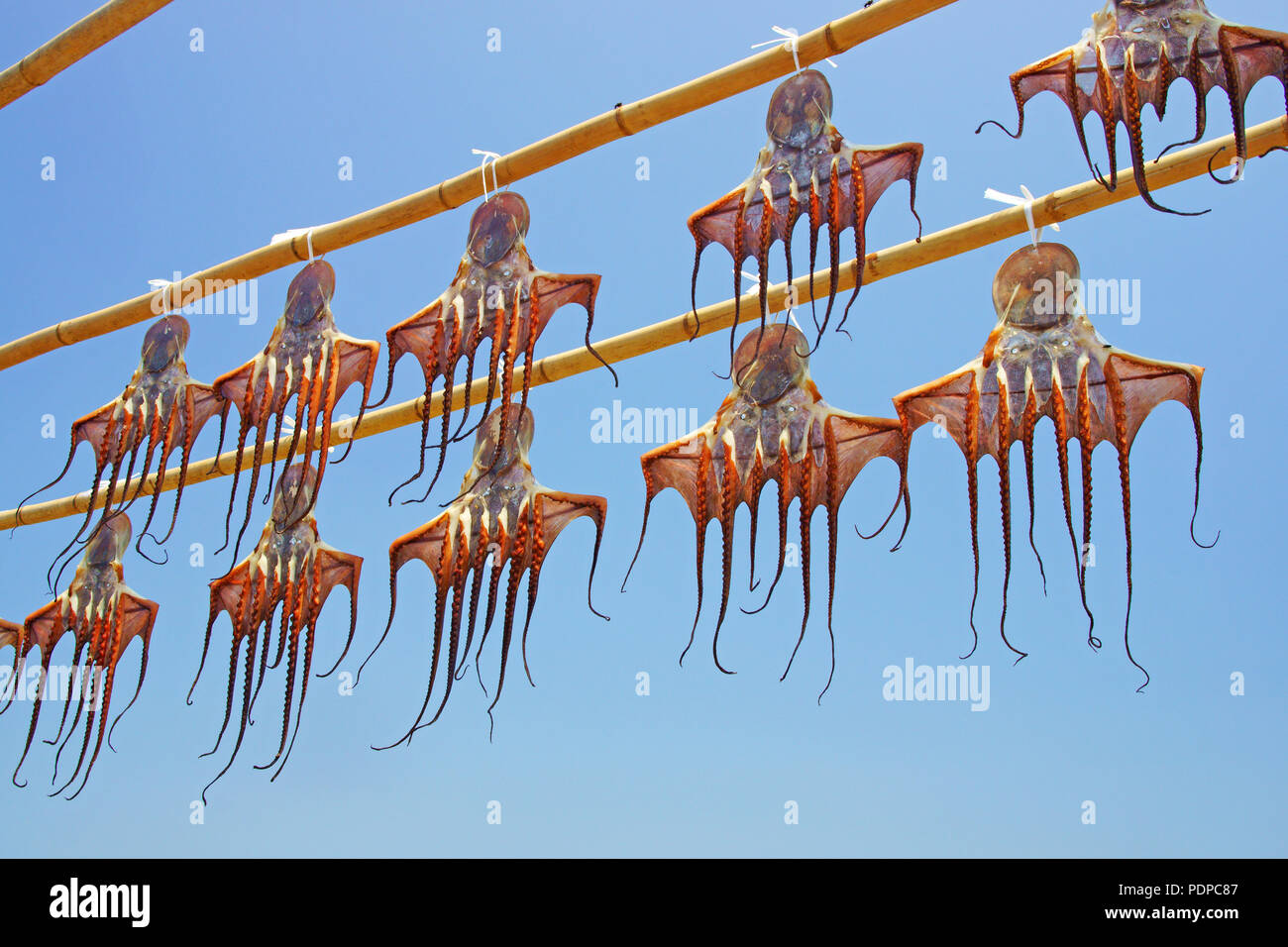 Dried octopus hi-res stock photography and images - Alamy
