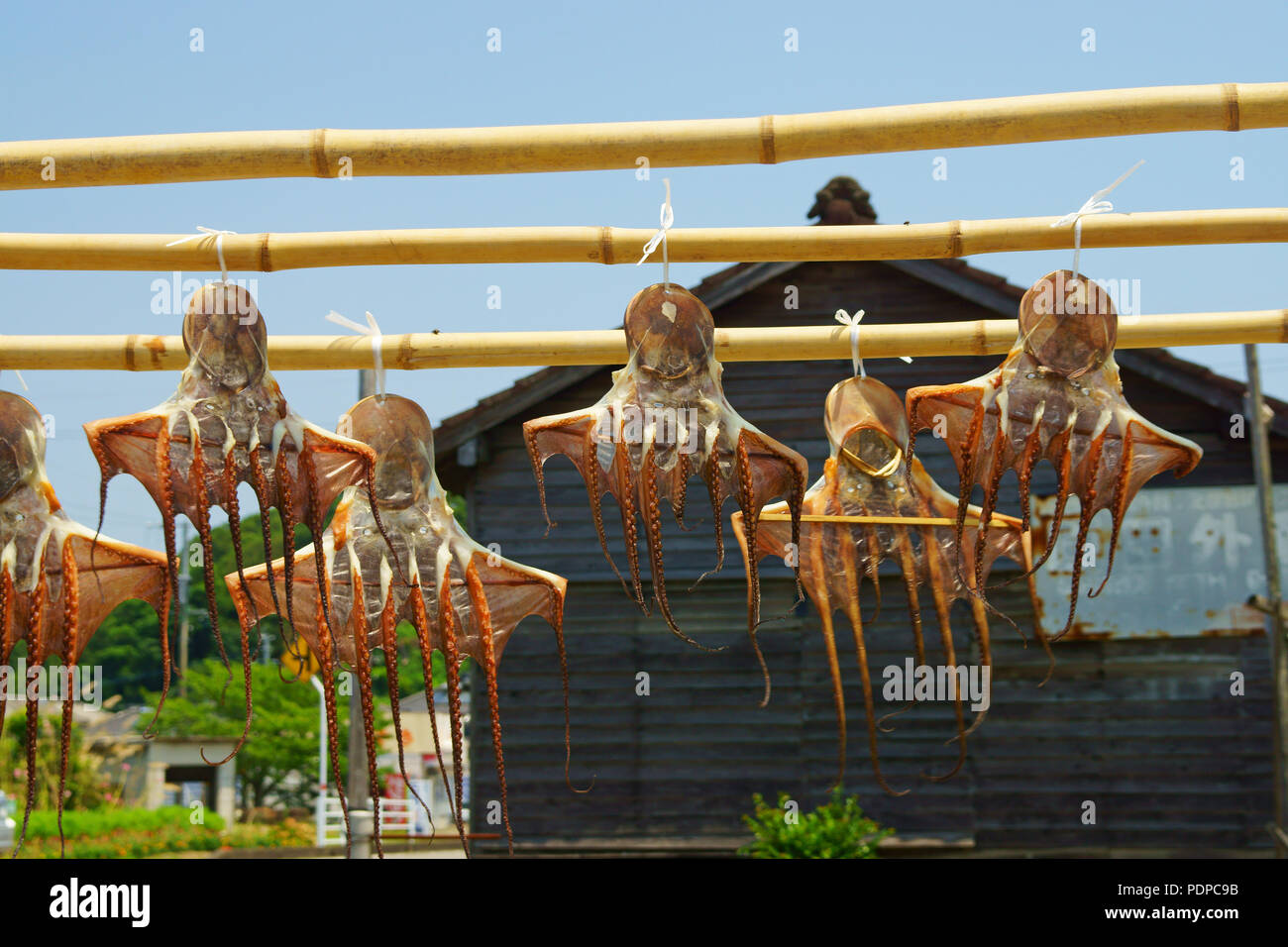 Dried octopus hi-res stock photography and images - Alamy