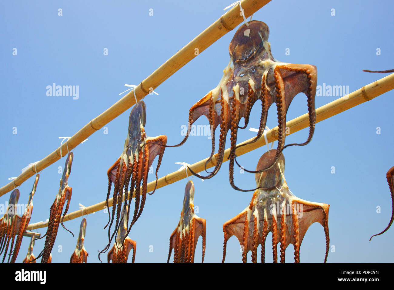 Dried octopus hi-res stock photography and images - Alamy