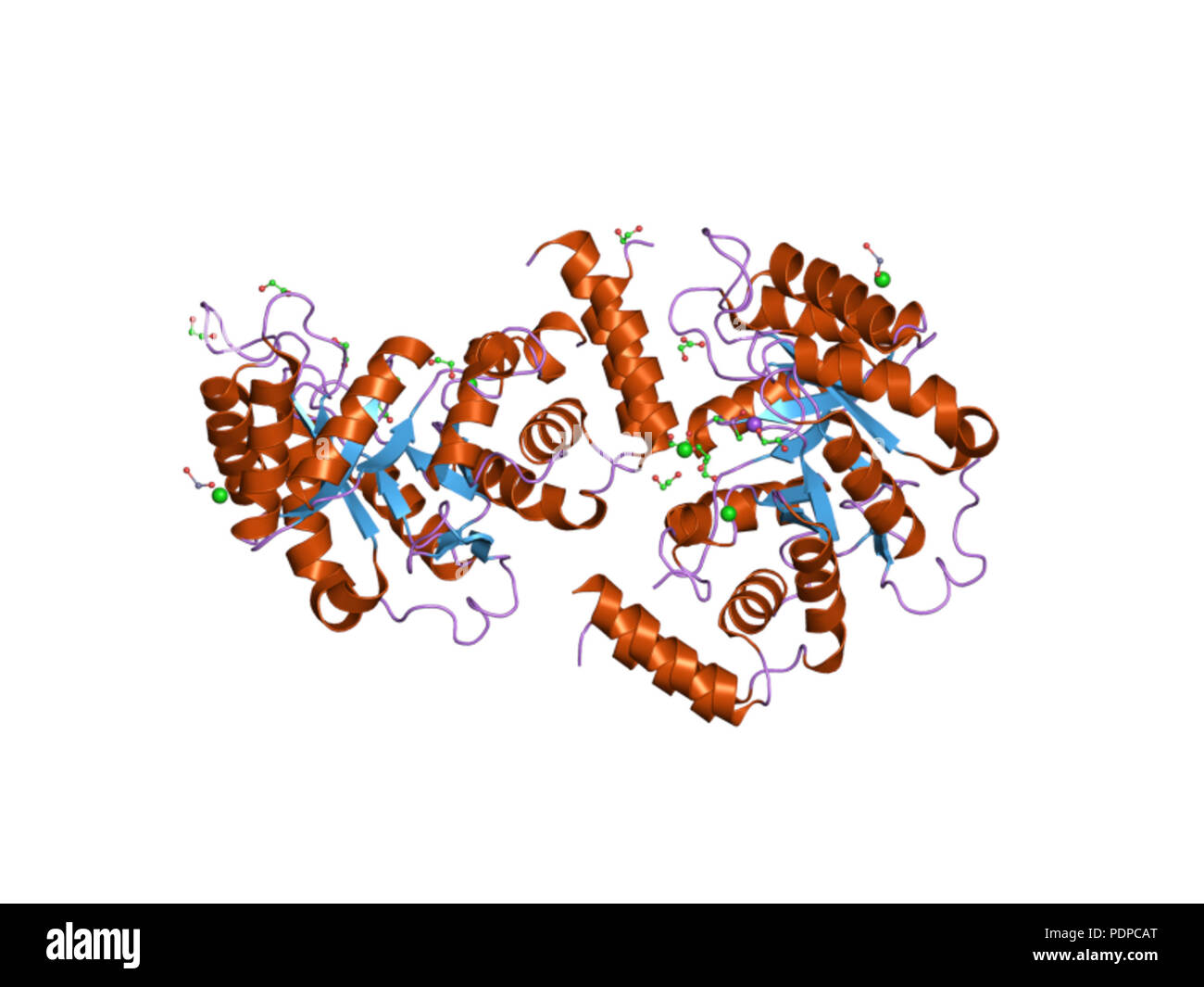 278 PDB 3erp EBI Stock Photo - Alamy