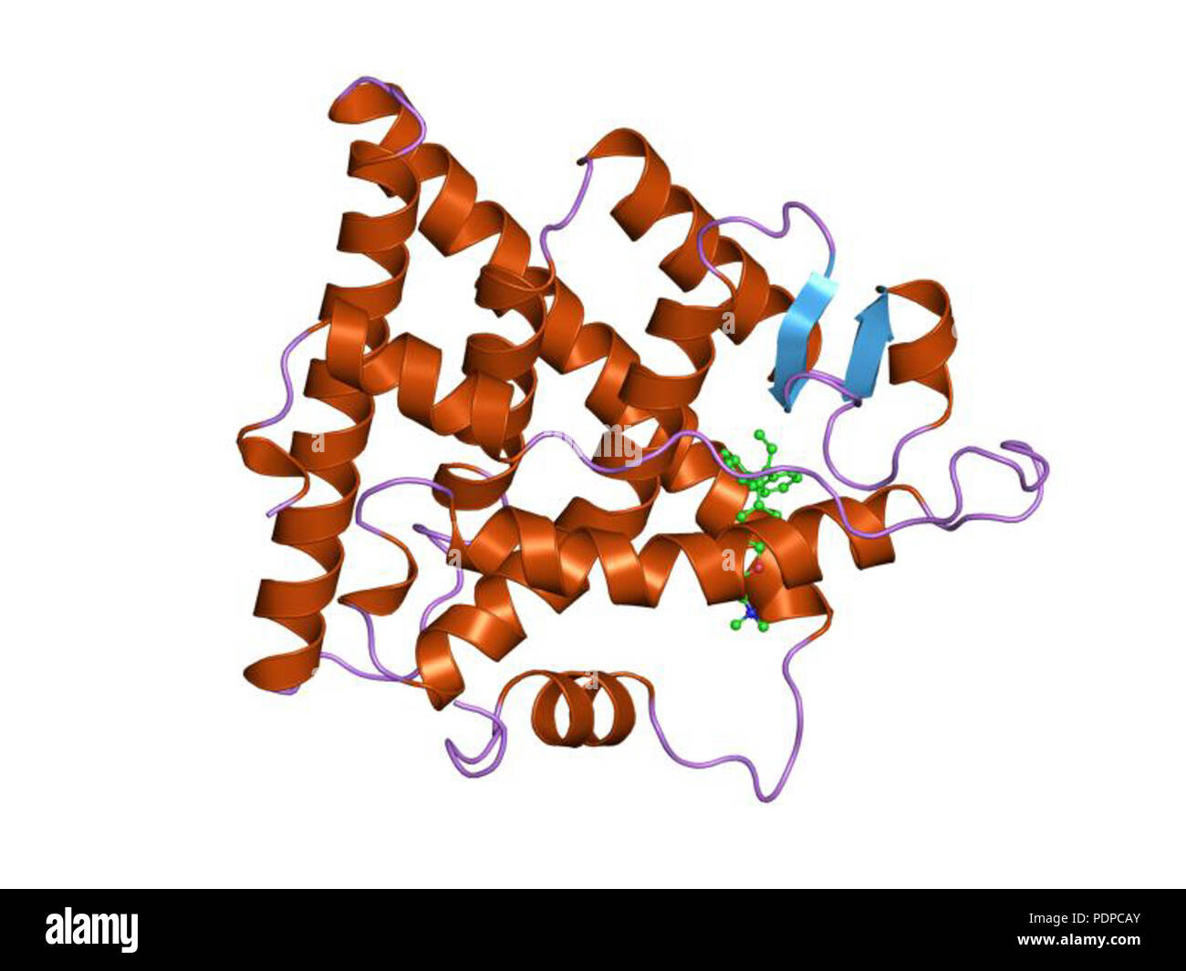 278 PDB 3ert EBI Stock Photo - Alamy