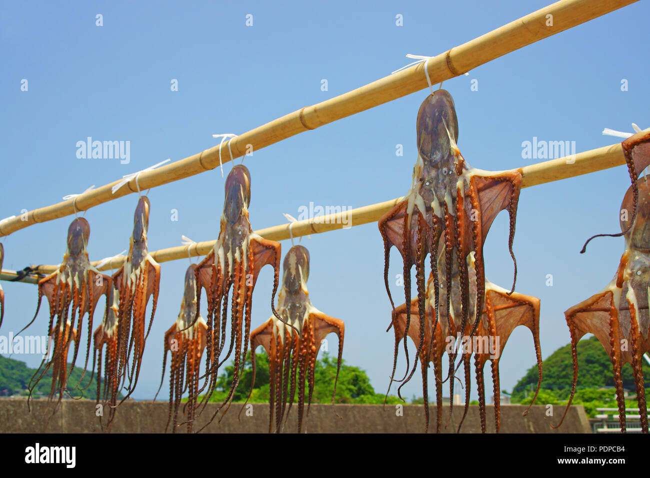 Dried octopus hi-res stock photography and images - Alamy