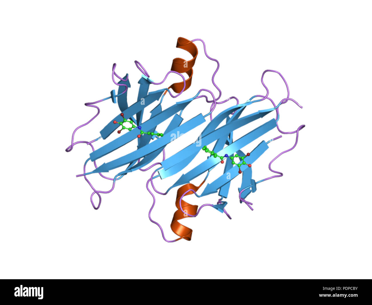 278 PDB 3eso EBI Stock Photo - Alamy