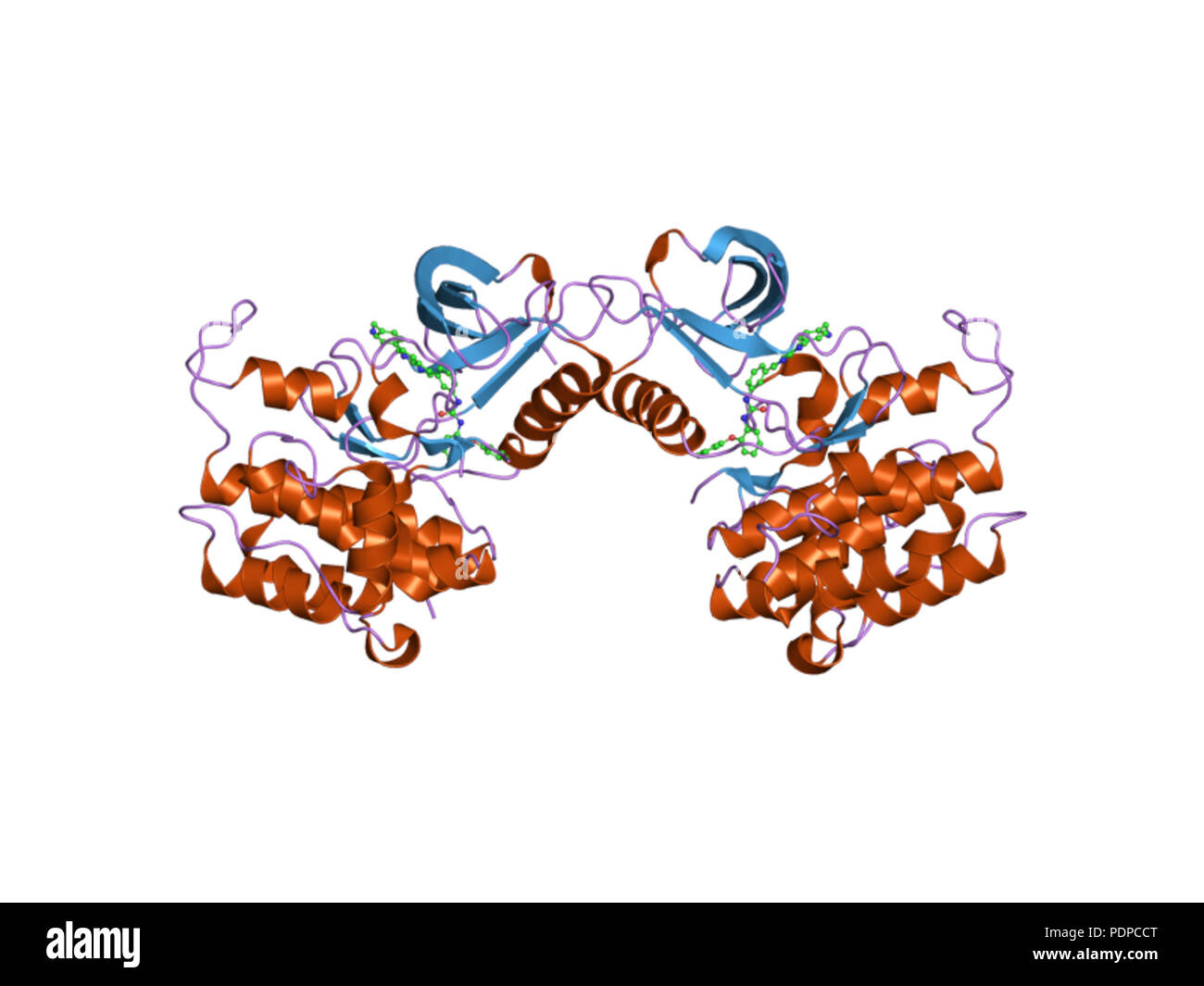 278 PDB 3eta EBI Stock Photo - Alamy