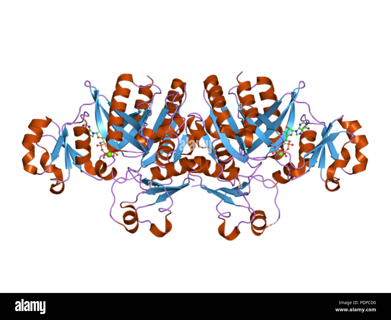 Imaging processes hi-res stock photography and images - Alamy