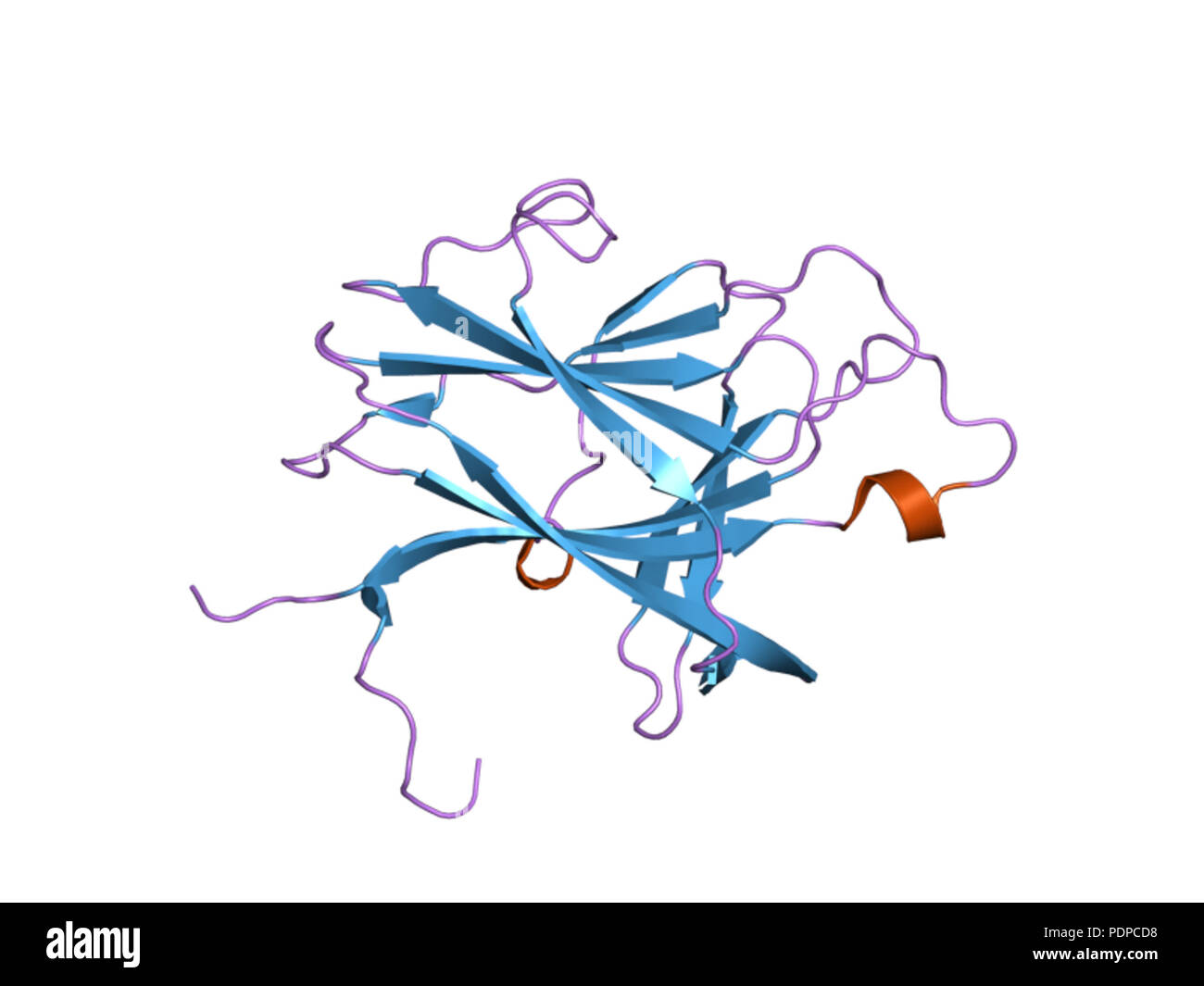 278 PDB 3etp EBI Stock Photo - Alamy