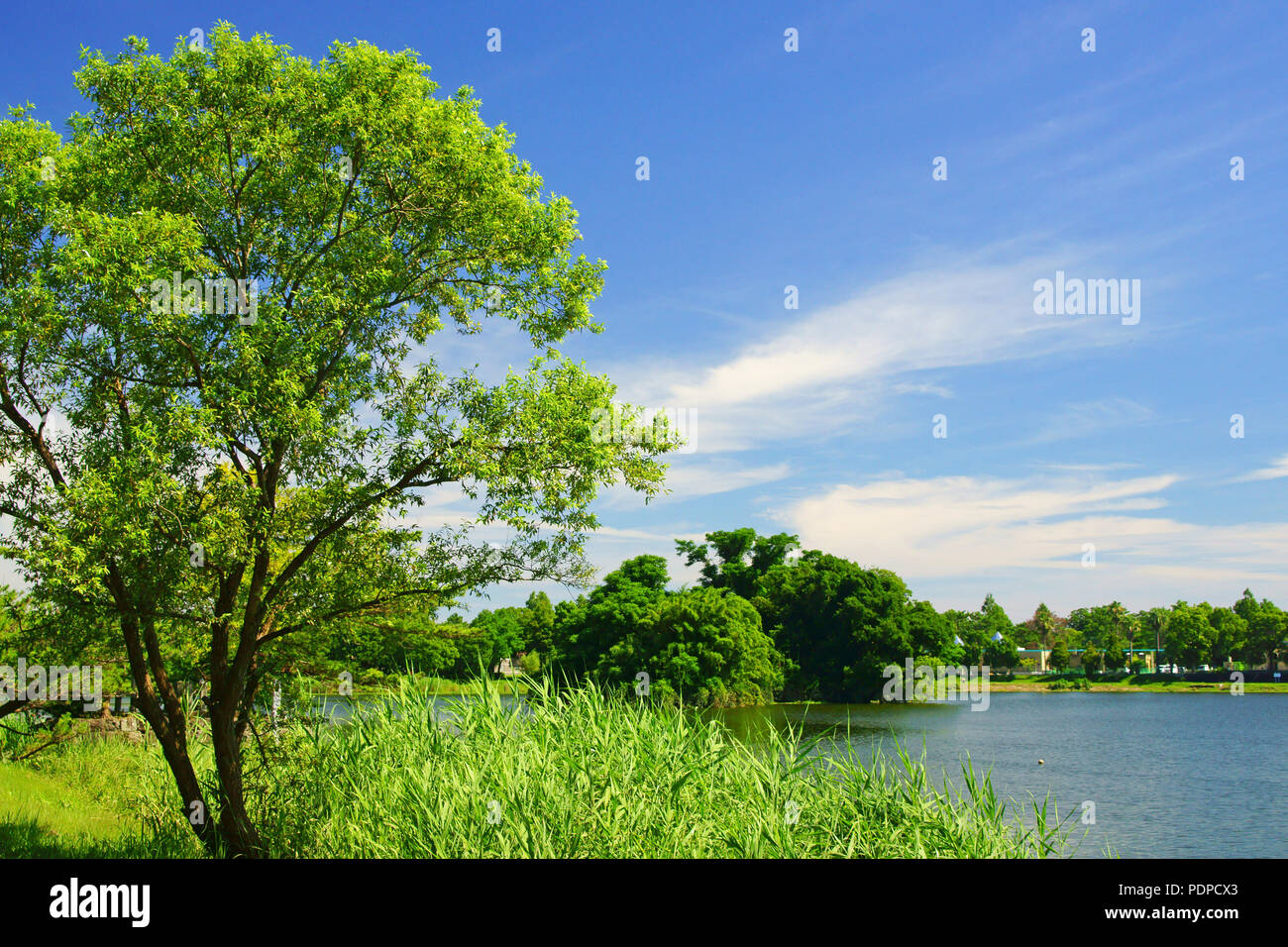 Lake Ezu, Kumamoto Prefecture, Japan Stock Photo - Alamy