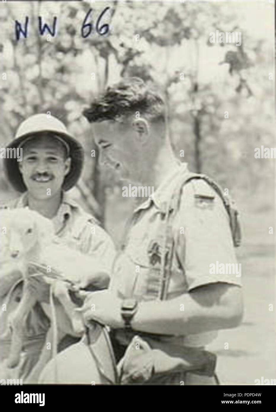 2 13 Squadron RAAF Hudson aircrew Hughes NT Feb 1943 AWM NWA0064 Stock ...