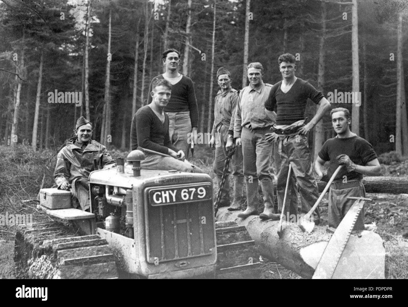 Tree machinery cutting Black and White Stock Photos & Images - Alamy