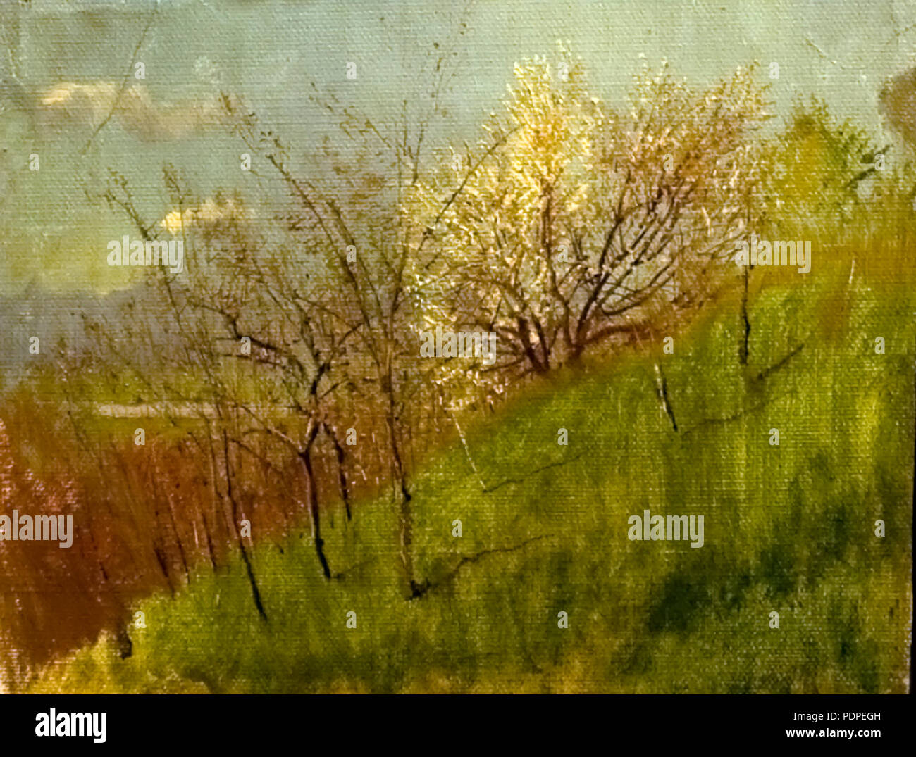 36 Spring Hillside Stock Photo - Alamy