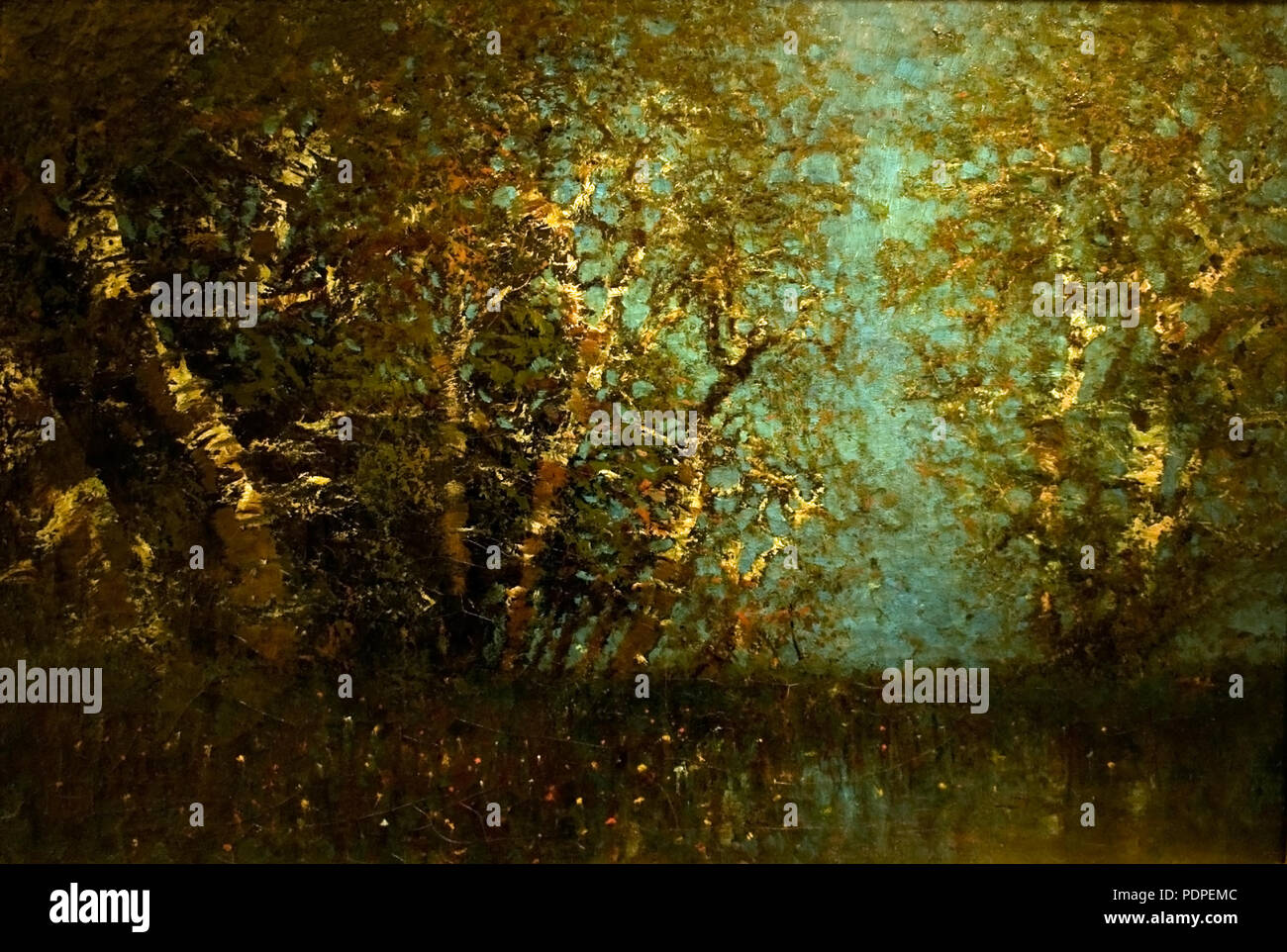 5 Birch Forest Stock Photo - Alamy