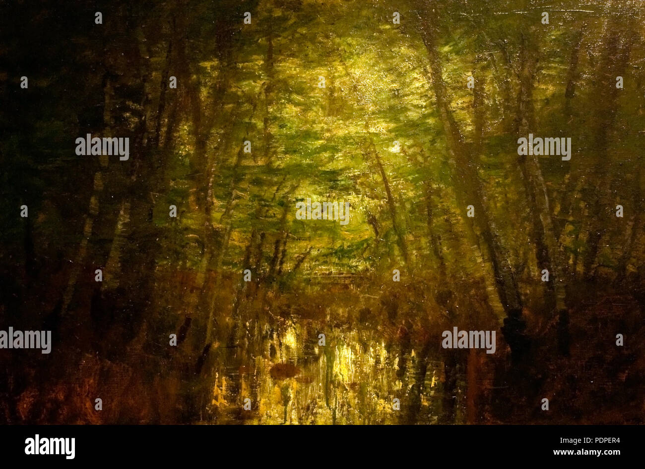 Marsh wetlands hi-res stock photography and images - Alamy