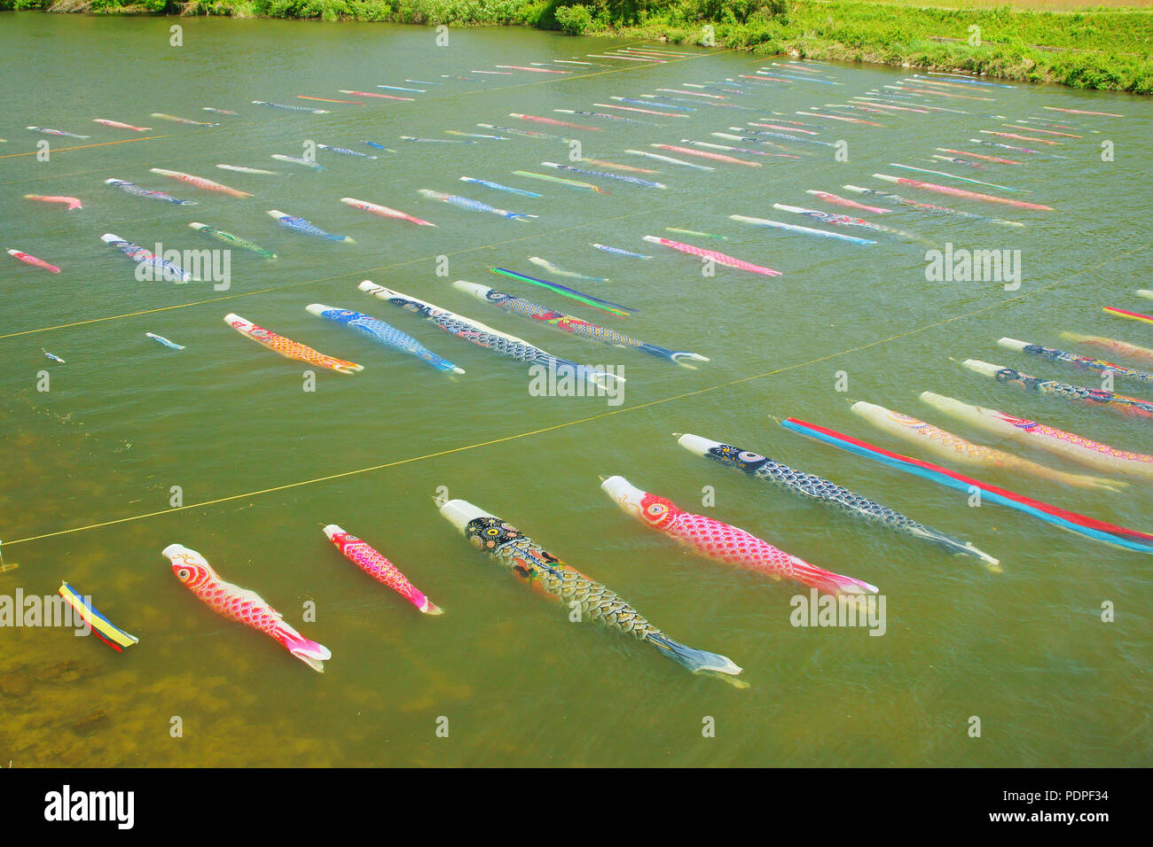 Koinobori (Carp Streamer) in River Stock Photo - Alamy