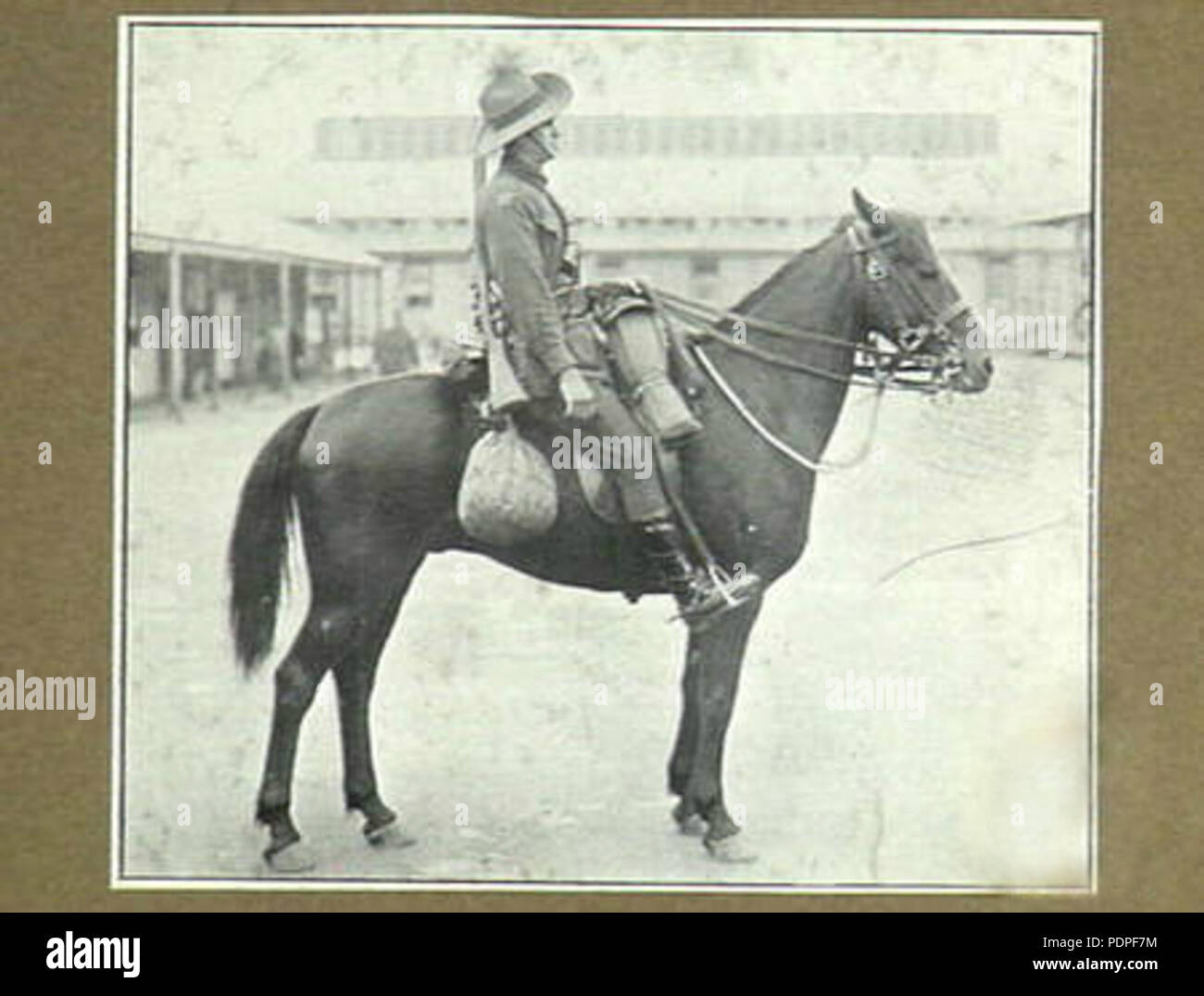 18 Australian Light Horseman Stock Photo - Alamy