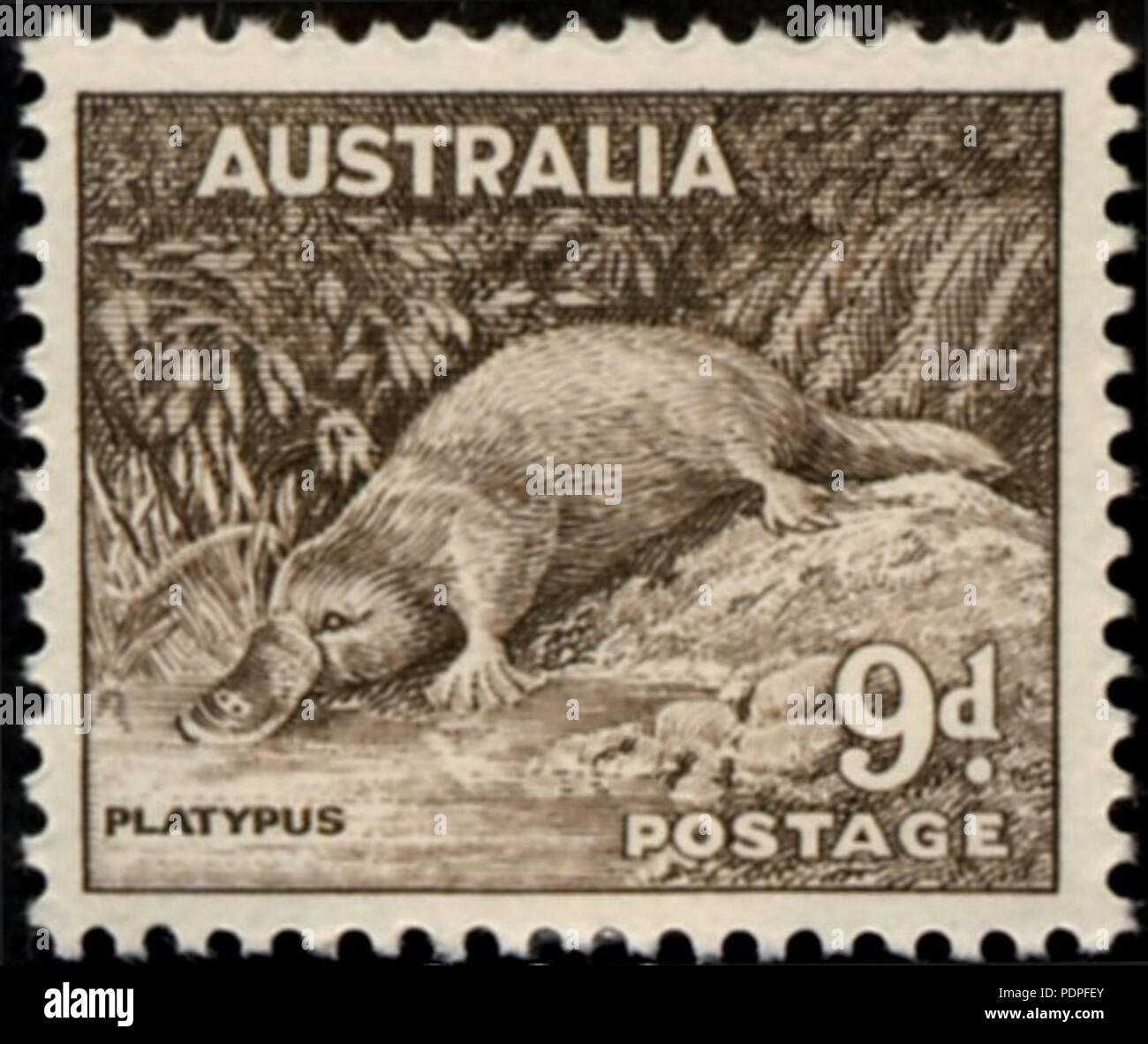 19 Australianstamp 1551 Stock Photo - Alamy