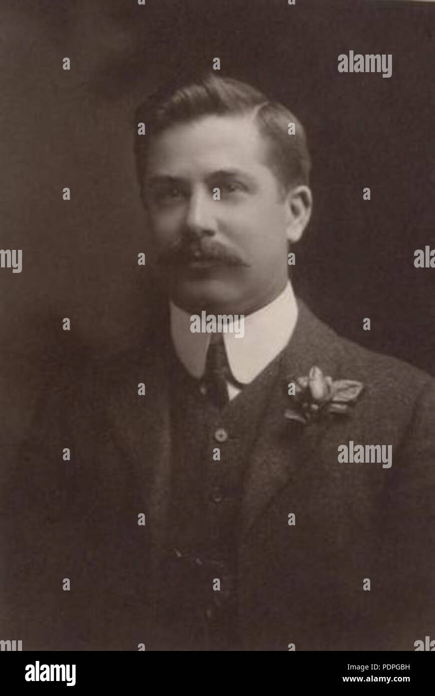 Catts hi-res stock photography and images - Alamy