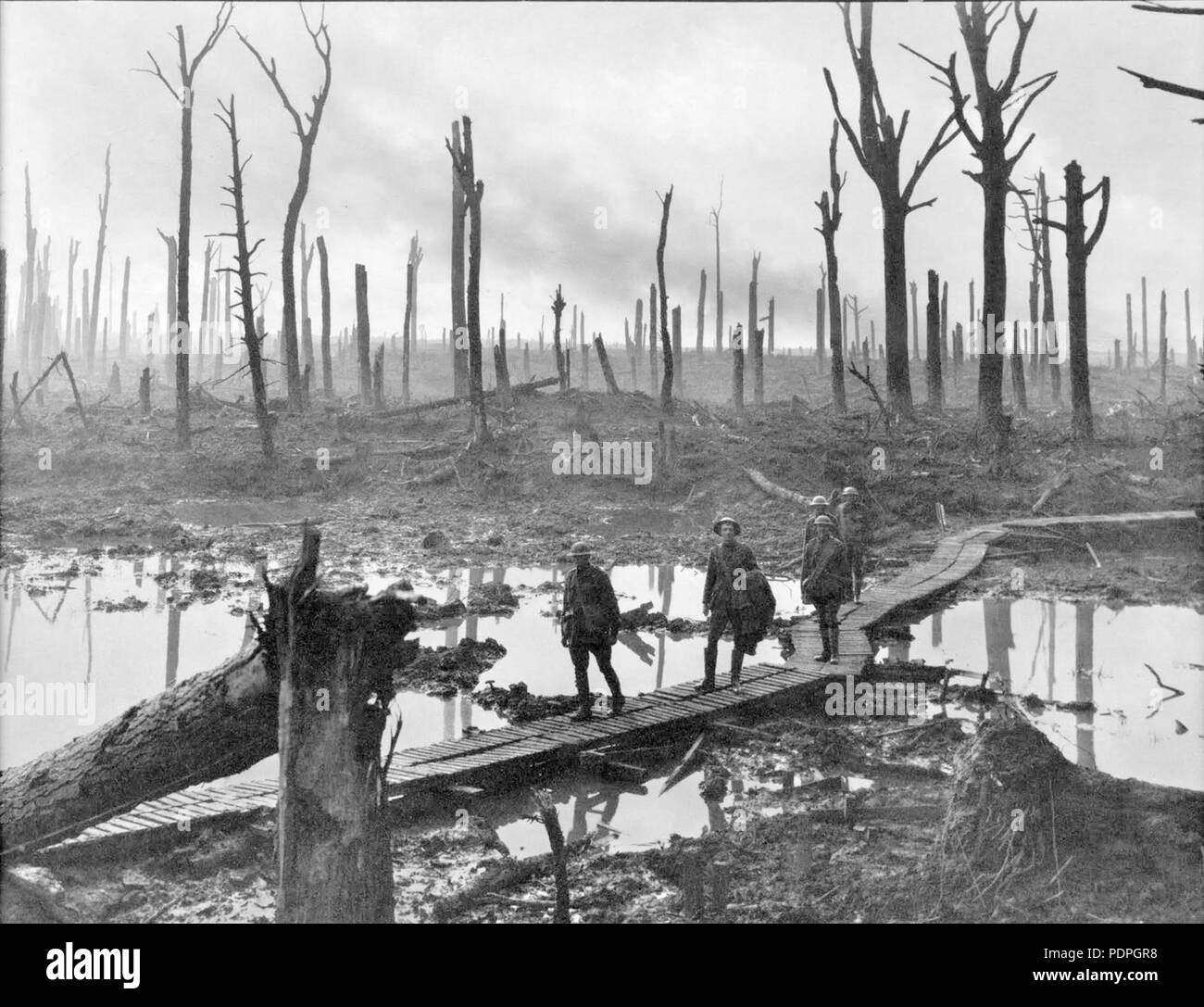 Chateau wood ypres 1917 hi-res stock photography and images - Alamy
