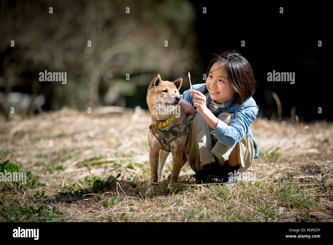 Girl with Shiba Inu Stock Photo - Alamy