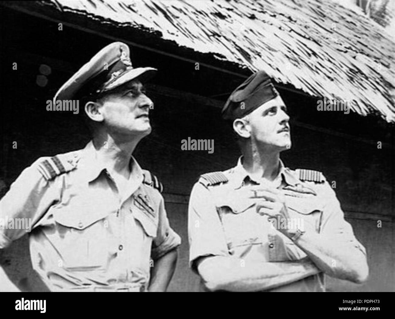 Cobby hi-res stock photography and images - Alamy