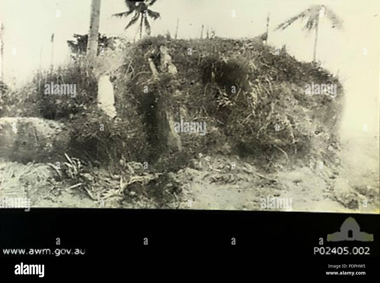 Pacific ww2 trench hi-res stock photography and images - Alamy