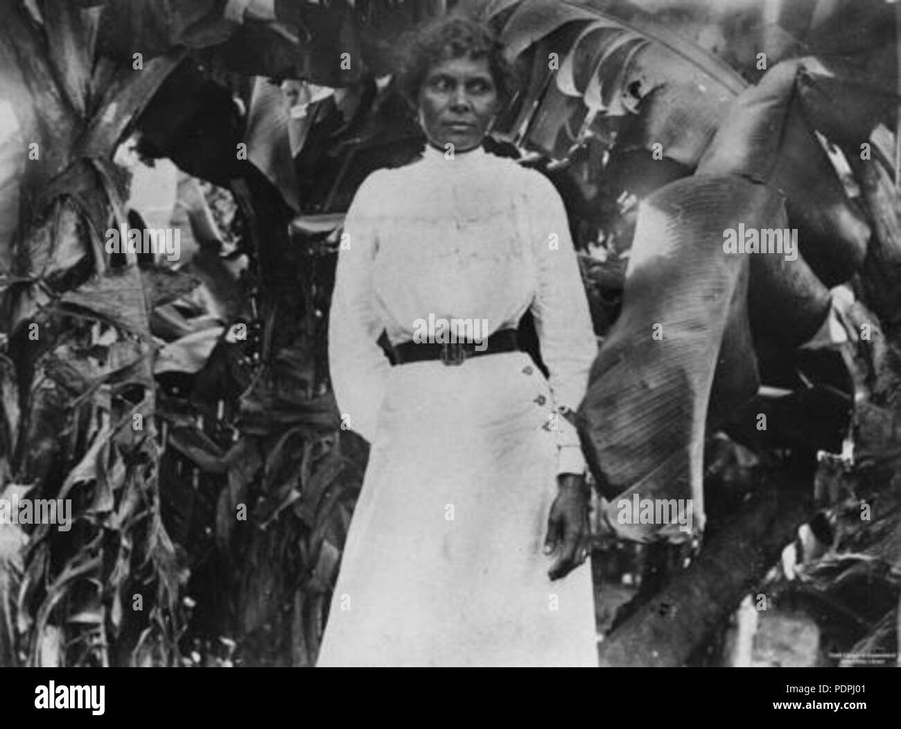 Kanaka hi-res stock photography and images - Alamy