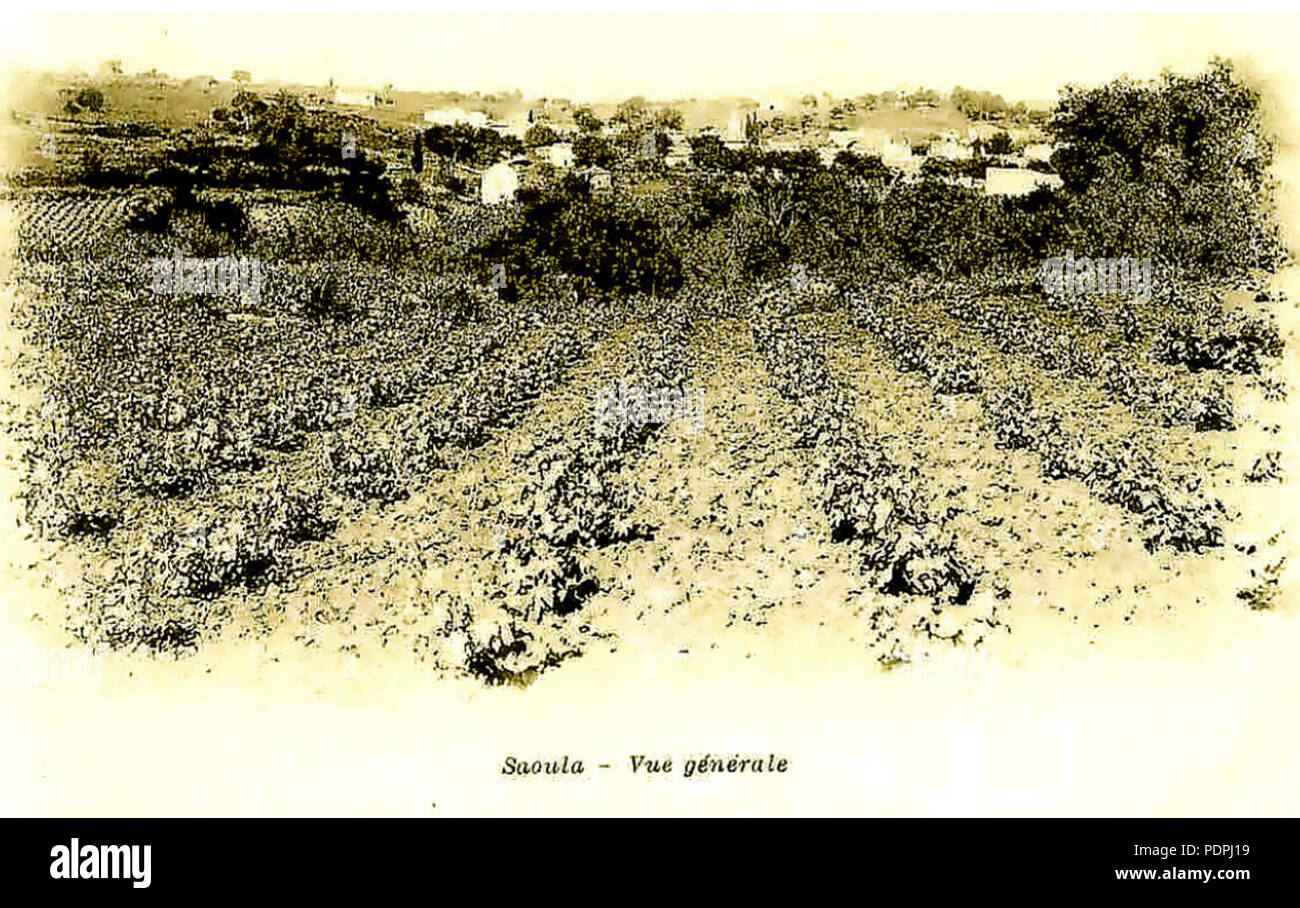 Algerie 1890 hi-res stock photography and images - Alamy