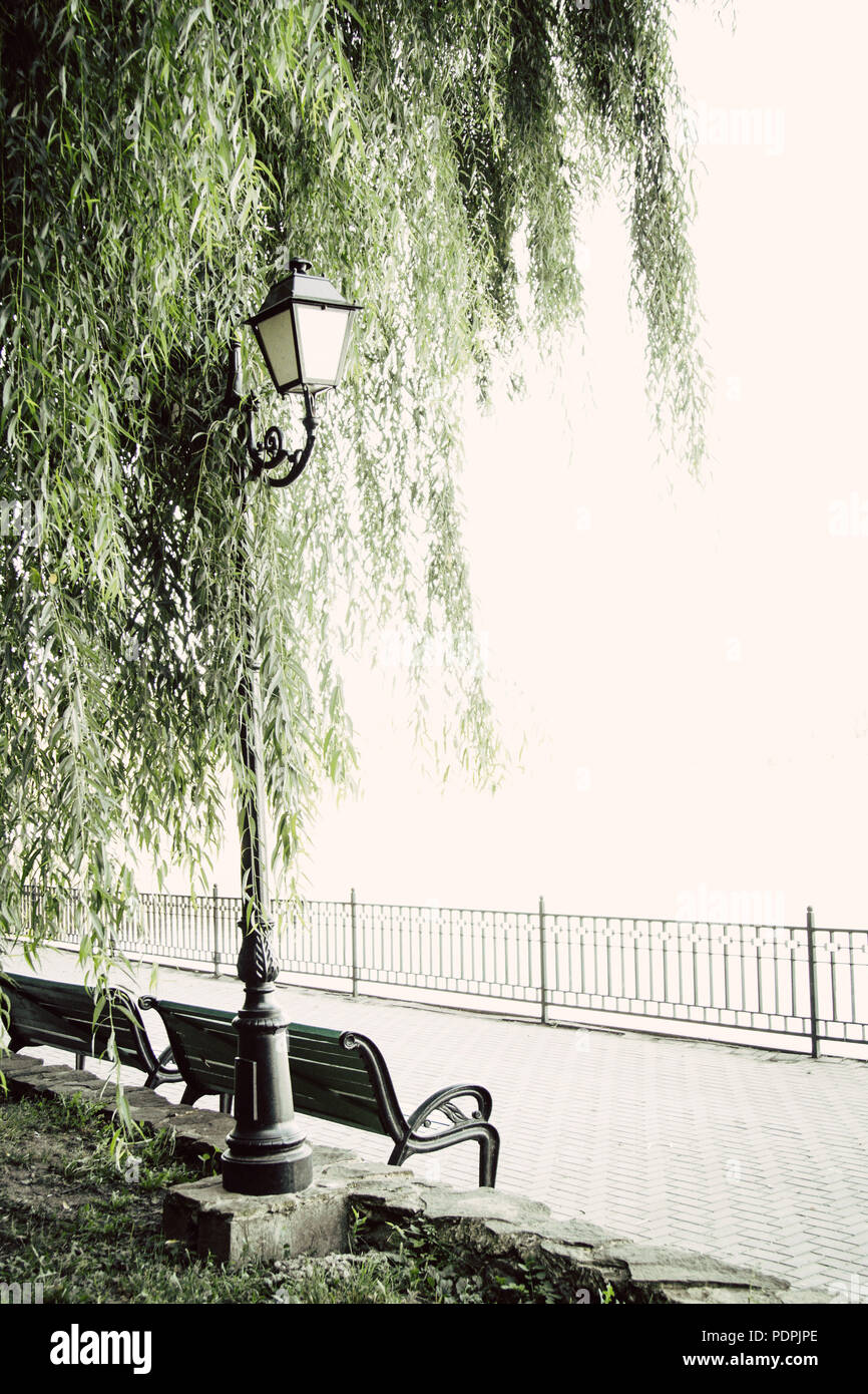beautiful garden walkway with lamps, willow tree and bench Stock Photo ...