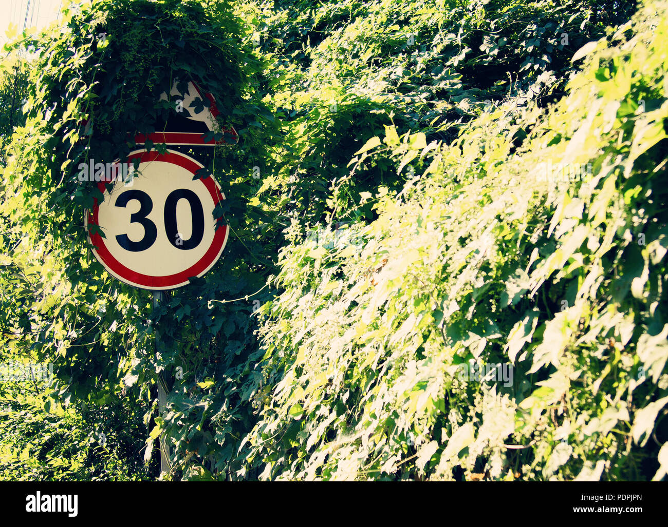 Roadside warning signs limit speed to 30 kmh. To reduce frequent ...