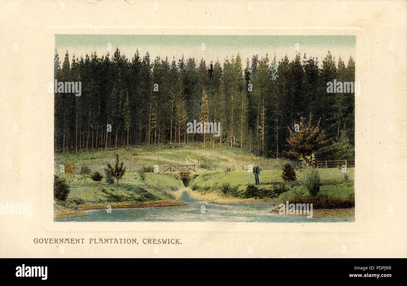 Plantation history hi-res stock photography and images - Alamy