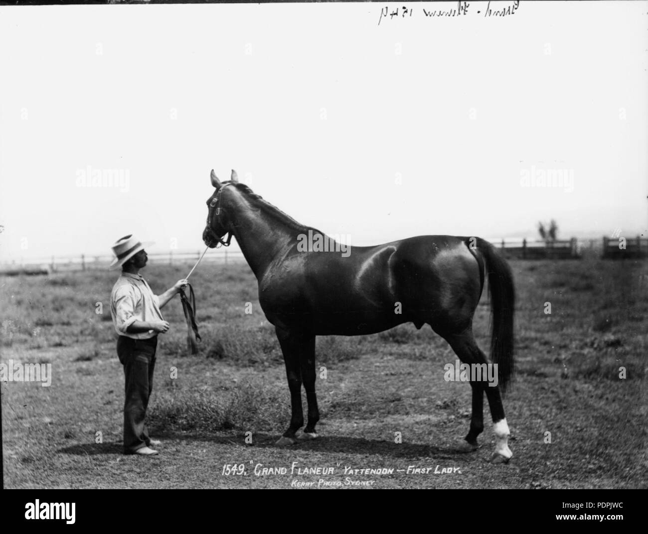 Flaneur hi-res stock photography and images - Alamy