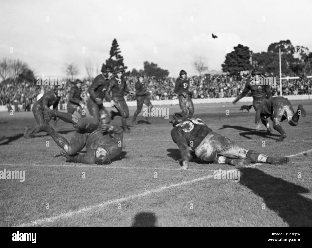 53 Gridiron in Adelaide 1942 Stock Photo - Alamy