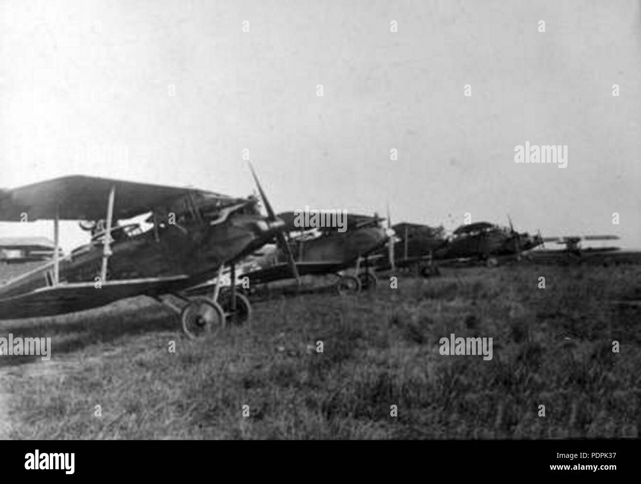 Halberstadt cl. aircraft hi-res stock photography and images - Alamy
