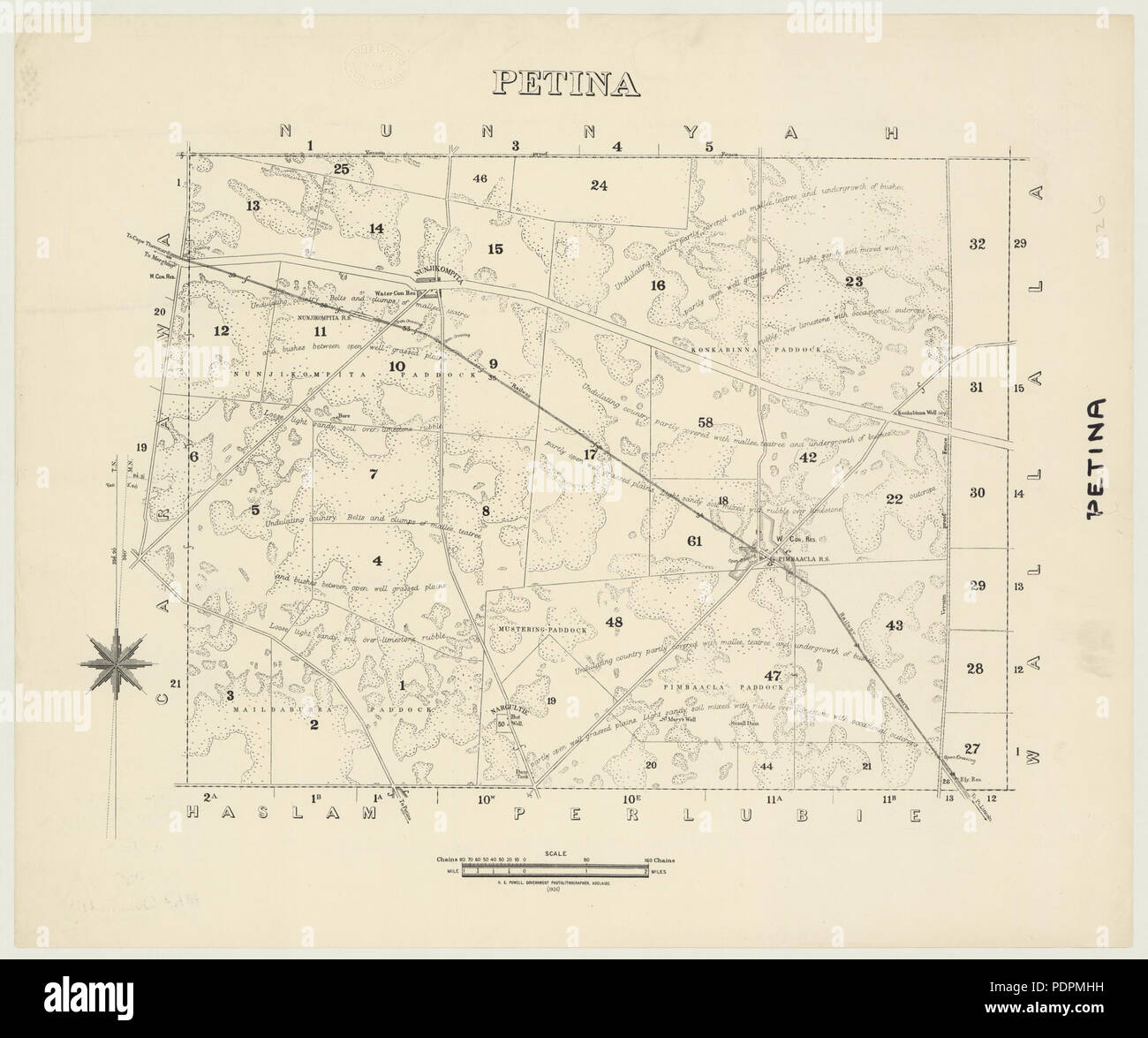 Petina hi-res stock photography and images - Alamy