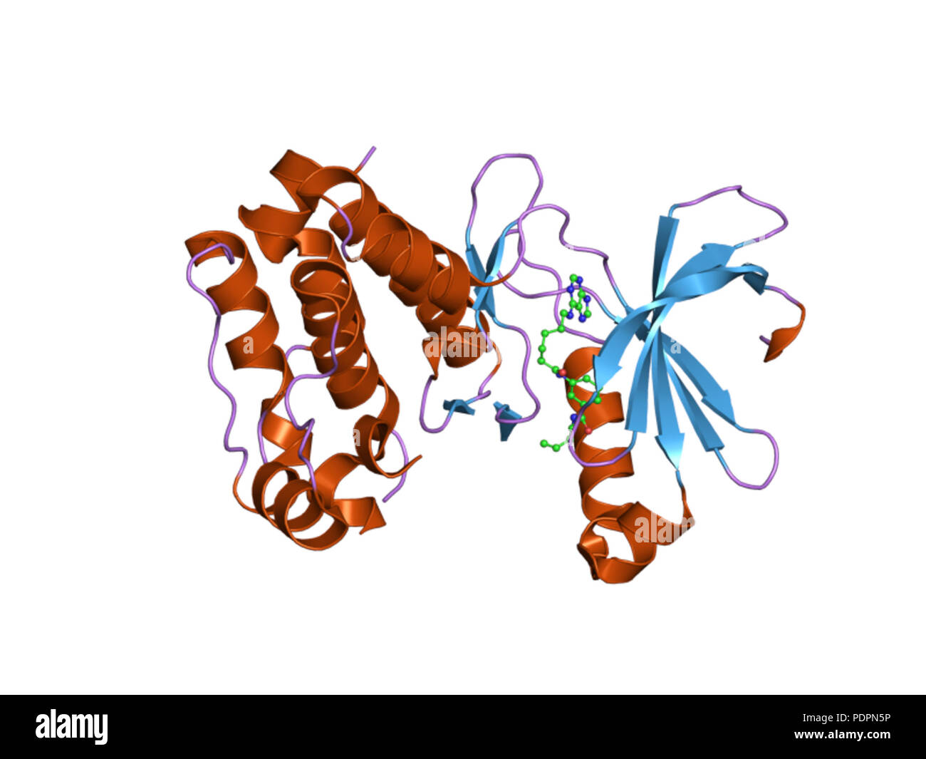 Aurora structure Cut Out Stock Images & Pictures - Alamy