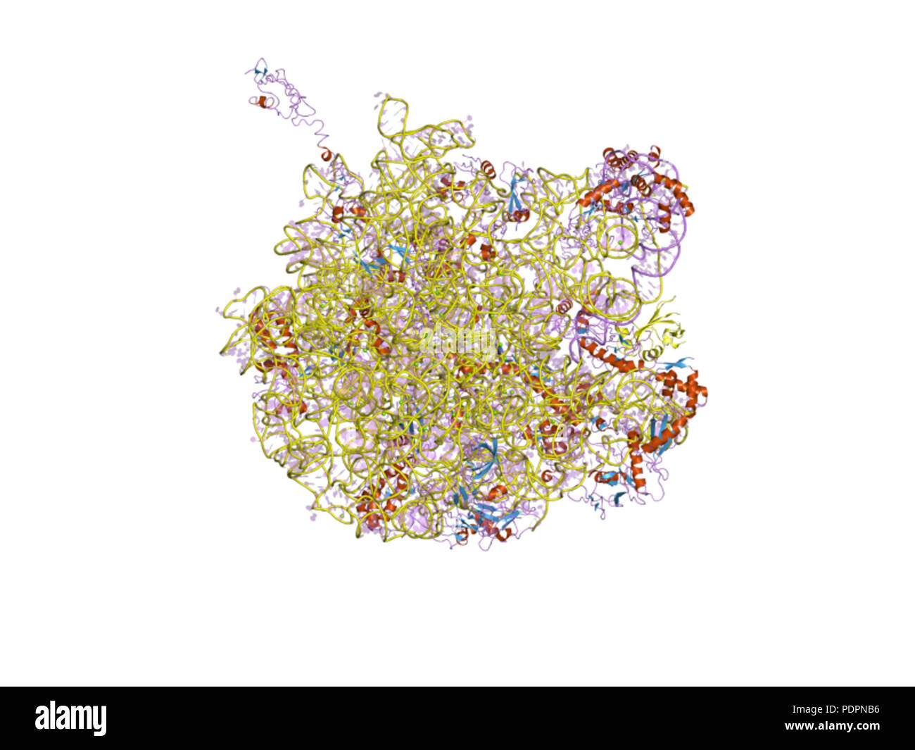 271 PDB 3df2 EBI Stock Photo - Alamy