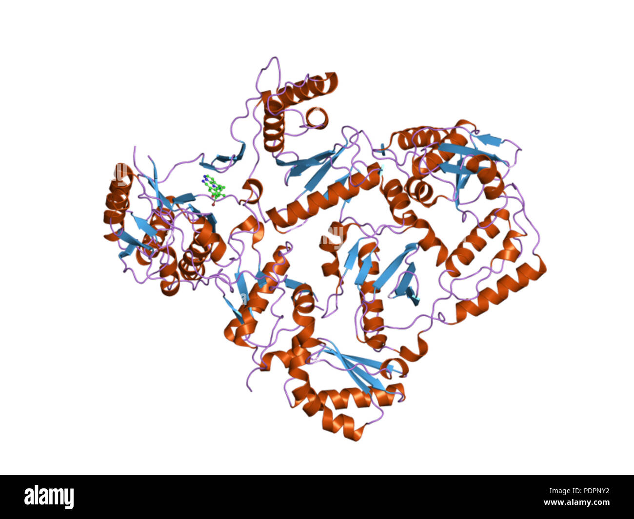 Biophysical experiments hi-res stock photography and images - Alamy