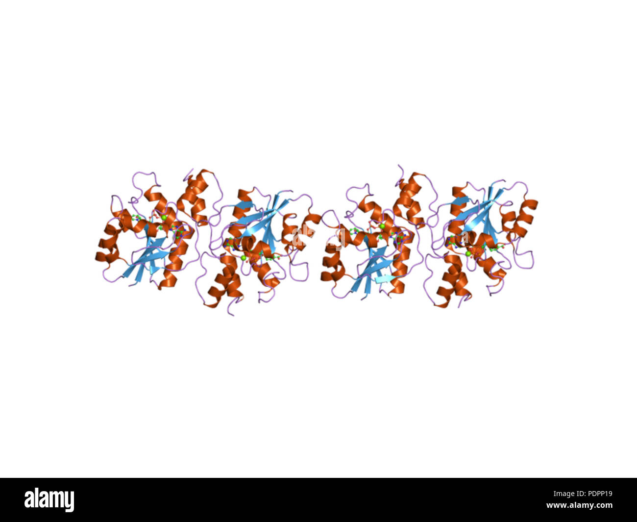 War files Cut Out Stock Images & Pictures - Alamy