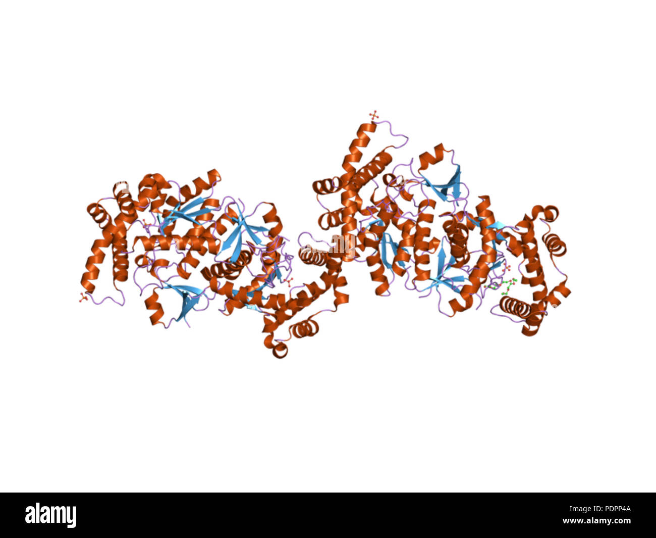 Model 275 Cut Out Stock Images & Pictures - Alamy