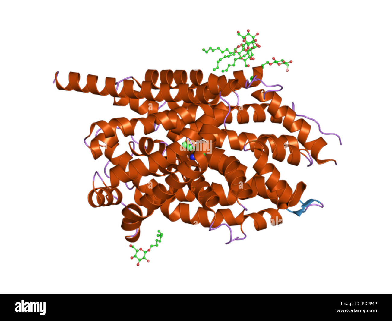 Mrna processing Cut Out Stock Images & Pictures - Alamy