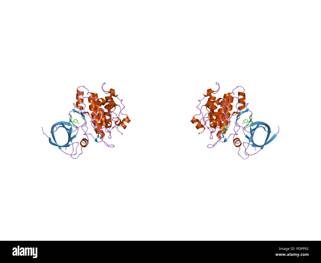 Genomic techniques hi-res stock photography and images - Alamy