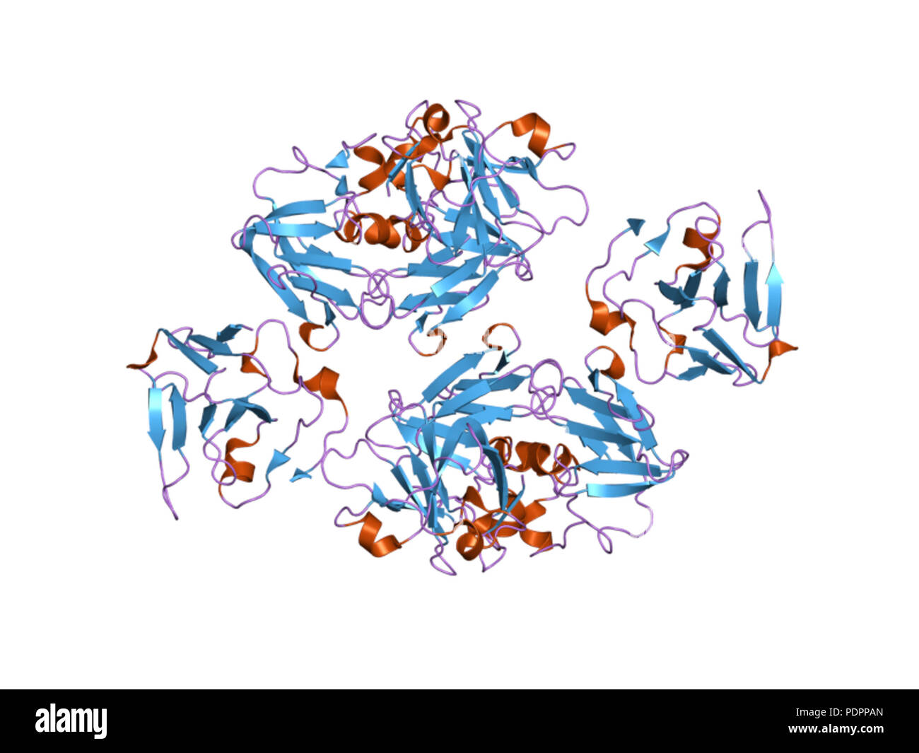 280 PDB 3fac EBI Stock Photo - Alamy