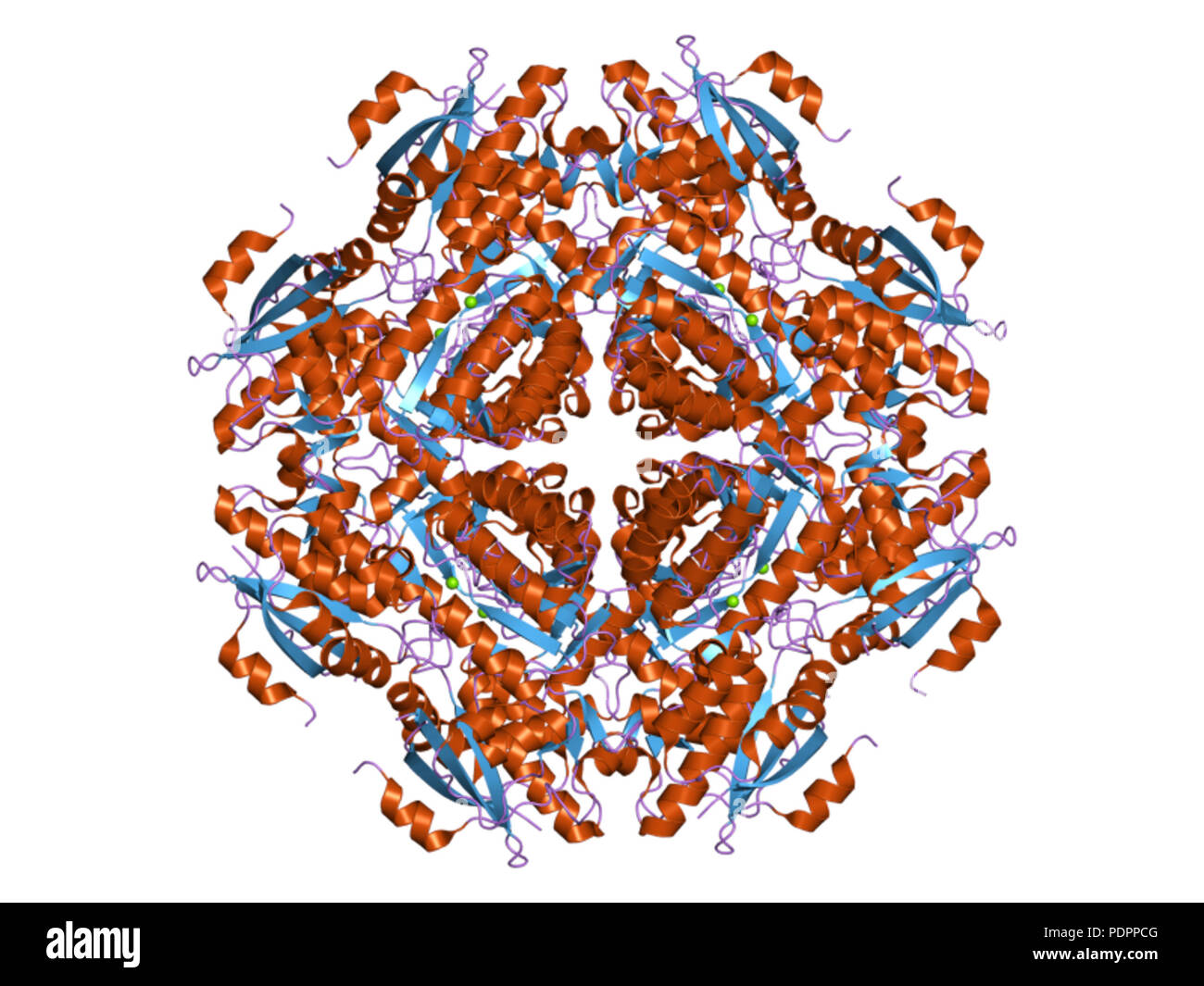 280 PDB 3fcp EBI Stock Photo - Alamy