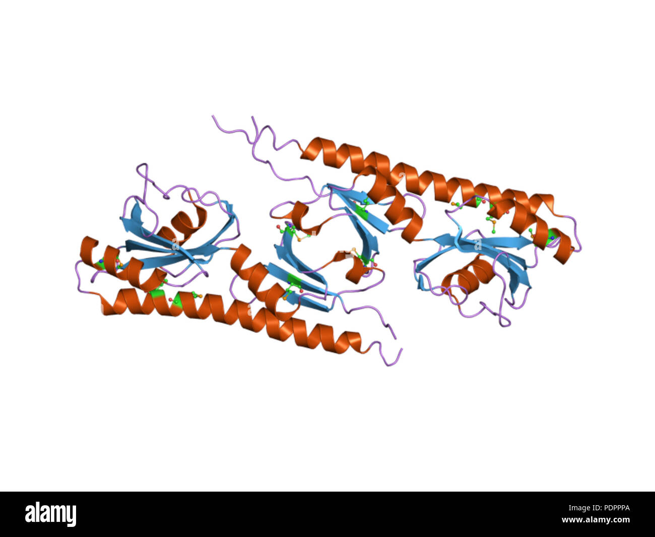 Bacillus dynamics hi-res stock photography and images - Alamy