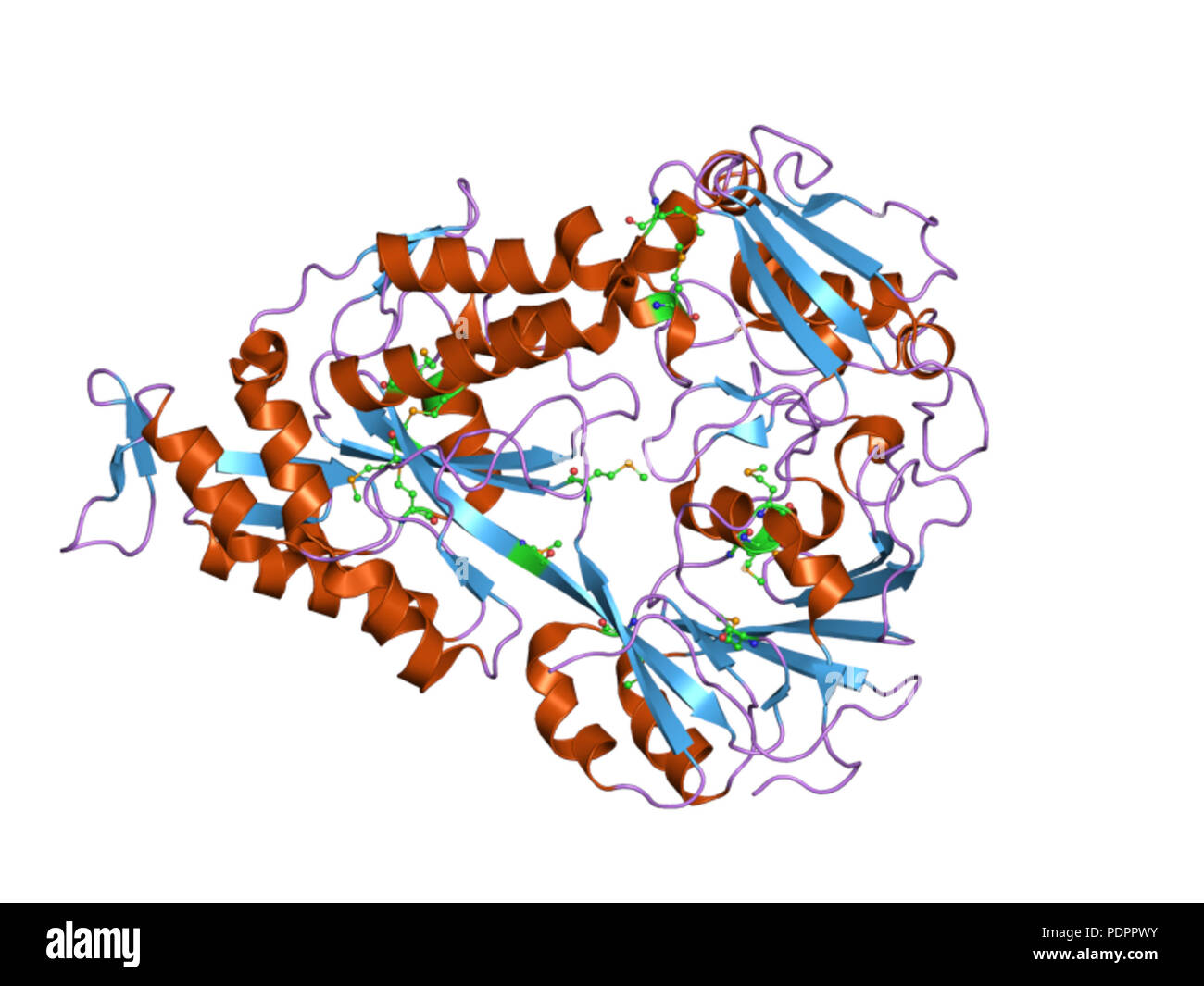 3fto hi-res stock photography and images - Alamy