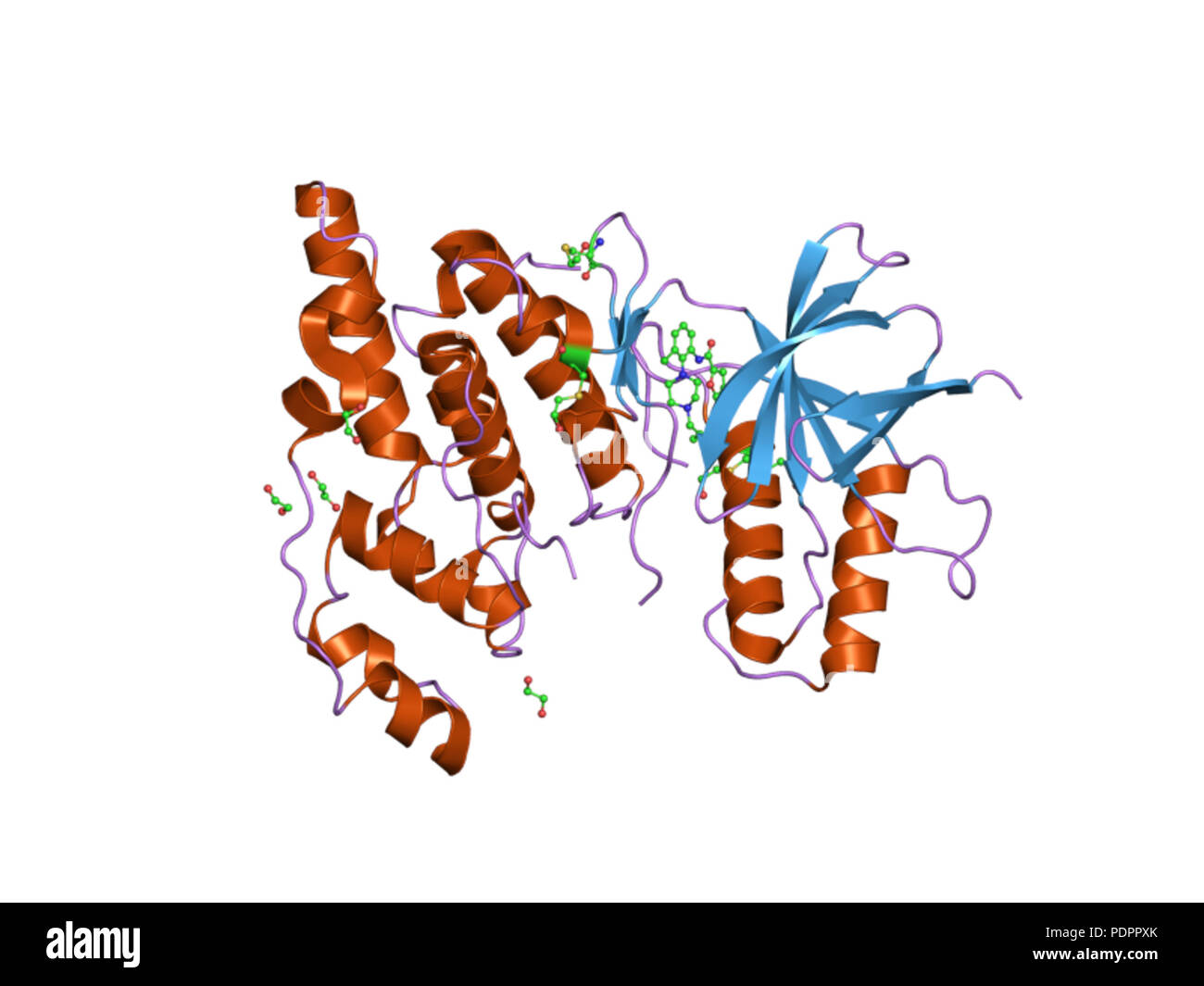 Military categorization hi-res stock photography and images - Alamy