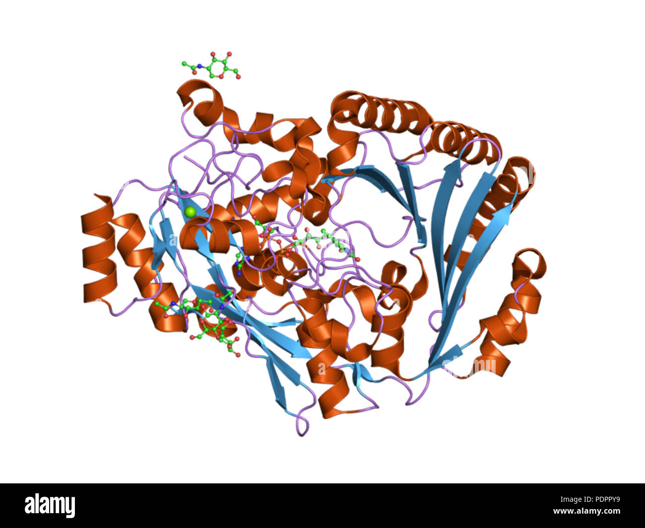 282 PDB 3fw7 EBI Stock Photo - Alamy